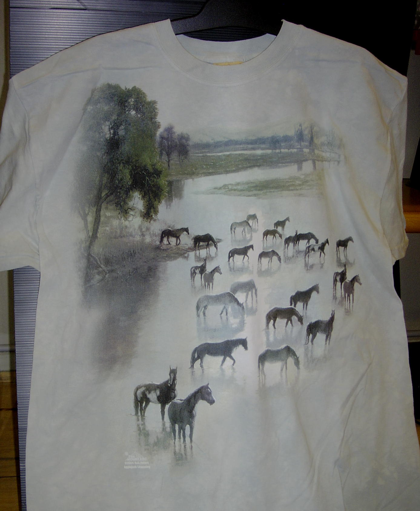 The Mountain Tees (Adult)